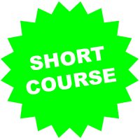 Short Courses | The Pictoplasma Academy